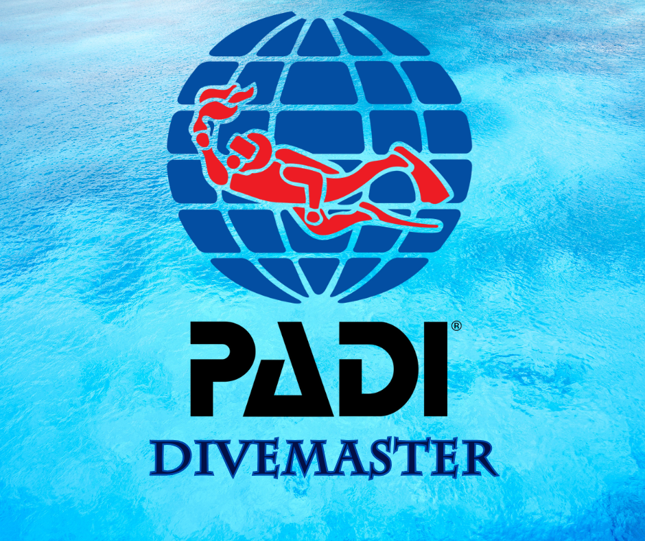 Padi Divemaster Logo